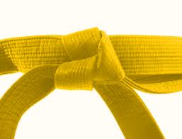 Inhoud van een Yellow Belt training - Green Belt